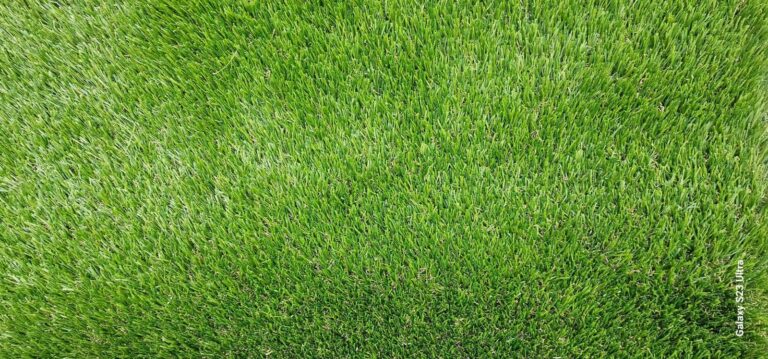 Terra Turf Silver 40 - Artificial Grass Nature Green - Titan Trade Centre